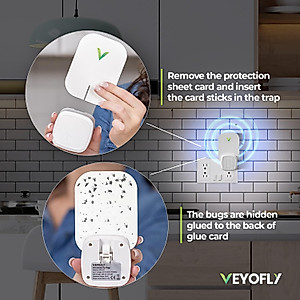 Veyofly Kit Fly Traps - Fly Traps Indoor, Fruit Fly Traps, Gnat Traps, Mosquito Traps, Insect Traps Indoor (Fly Trap Kit)