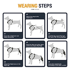 Dog Knee Brace Support for Torn ACL Leg, Dog Hip Dysplasia Brace, Full Body Fixation Ensures Stability, Dog Knee Braces Relieve Aching Muscles and Reduce Joint Pain and Inflammation (Size:L)