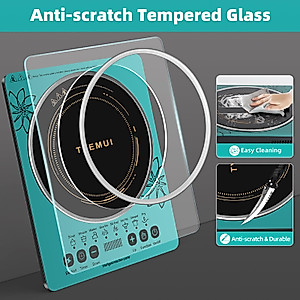 TYEMUI 2200W Induction Hot Plate,Portable Electric Cooktop Single Burner High Power Electrical Hot Plates for Cooking in Dorm, Apartments, Home 110V-120V