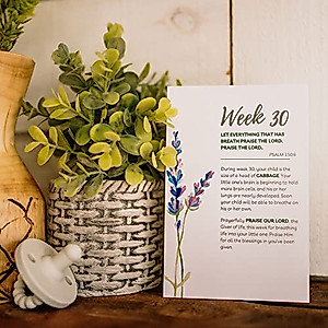 Pregnancy Prayer Cards, Weekly Prayer & Milestone Cards for Expecting Mother, Pregnancy Congratulations Gift for First Time Mom, Pregnancy Must Haves First Trimester Pregnancy Essentials for Mom to Be