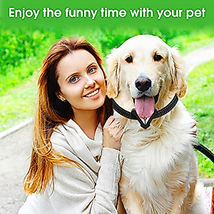 Electric Dog Training Collar with Remote,Upgraded 2 Dogs 1300ft Dog Training Collar IP67 Dustproof Waterproof 4 Training Modes for Medium Large Dog Shock Collar Rechargeable Adjustable Dog Bark Collar