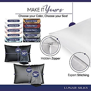 Lunar Silks, Highest Grade 6A 100% Pure Mulberry Real Silk Pillowcase 22 Momme (Both Sides) for Hair and Skin - Acne Free - 1PC in Gift Box (Frost White, Queen)