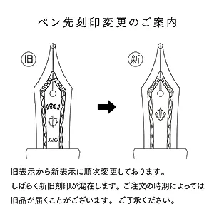 Sailor 11-0500-242 Fountain Pen, Four Seasons Weave, Hisakata, Uchimizu, Fine Point