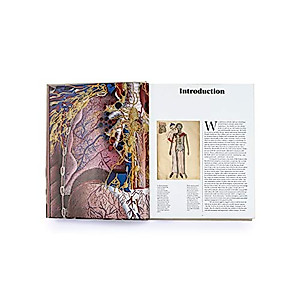 Anatomica: The Exquisite and Unsettling Art of Human Anatomy