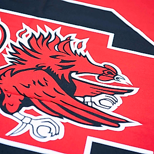 College Flags & Banners Co. South Carolina Gamecocks Logo Tablecloth or Table Overlay