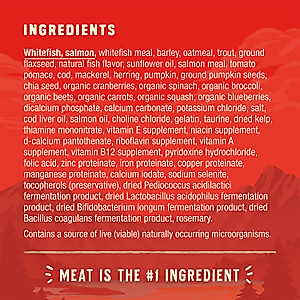 Stella & Chewy's Wild Red Dry Dog Food Raw Coated High Protein Wholesome Grains Ocean Recipe, 21 lb. Bag