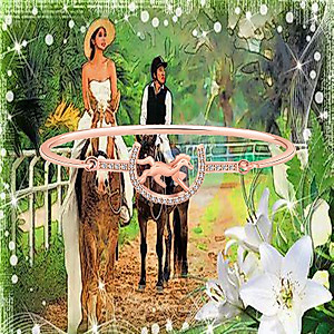 FEELMEM Elegant Pave Cubic Zirconia Lucky Horseshoe with Horse Charm Bangle Bracelet/Necklace Horse Shoe Lover Jewelry for Women (BC)