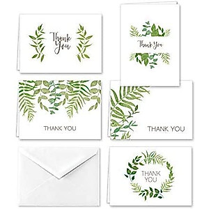 Paper Frenzy Elegant Ferns Thank You Note Cards and Envelopes - 25 pack