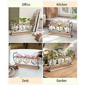 Sapowerntus Heart Propagation Stations, Cute Plant Terrarium Wooden Stand Love Glass Vase, Hydroponic Air Plants Desk Office Garden Mother Gift Decor for Women Plant Lover, 3 Heart Vase