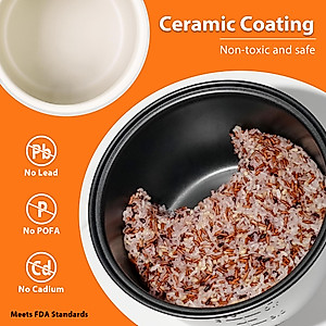 MOOSUM Electric Rice Cooker with One Touch for Asian Japanese Sushi Rice, 10-cup Uncooked, Fast&Convenient Cooker with Steamer, Removable Inner Cover and Auto Warmer, Silver