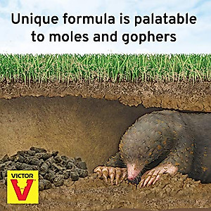 Victor M6006 Outdoor Mole & Gopher Poison Peanuts - Mole and Gopher Bait Killer