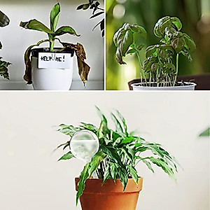 AOPANDA Plant Watering Globes, Self Watering Flower Pot Insert, Plastic Self Watering Bulbs, Large Capacity, for Indoor and Outdoor Plants, 9pcs.