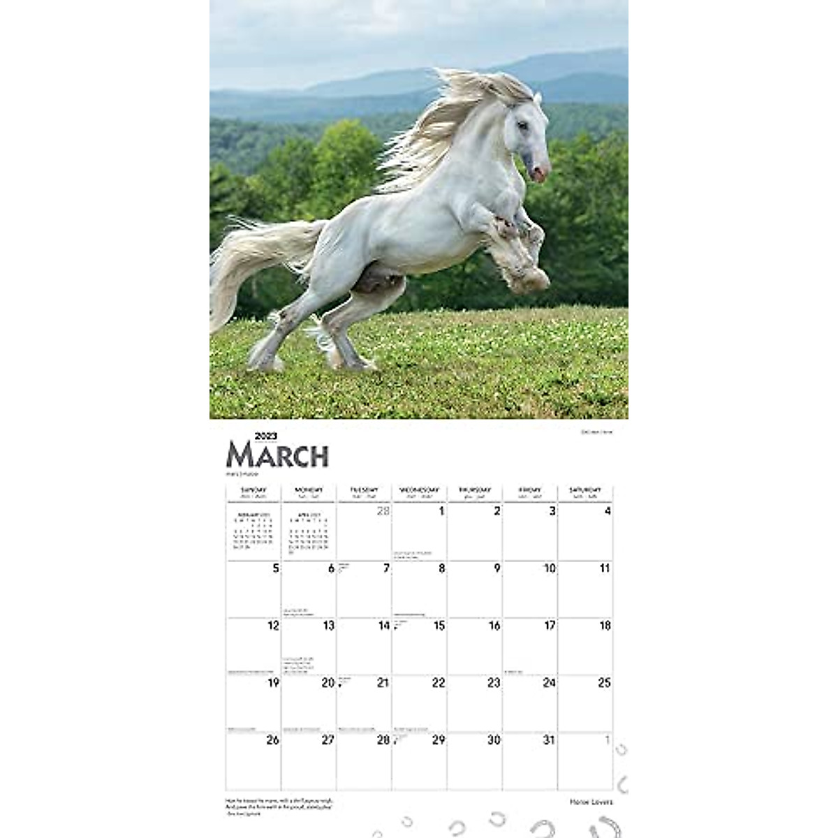 Horse Lovers | 2023 12 x 24 Inch Monthly Square Wall Calendar | Foil Stamped Cover | BrownTrout | Animals Equestrian