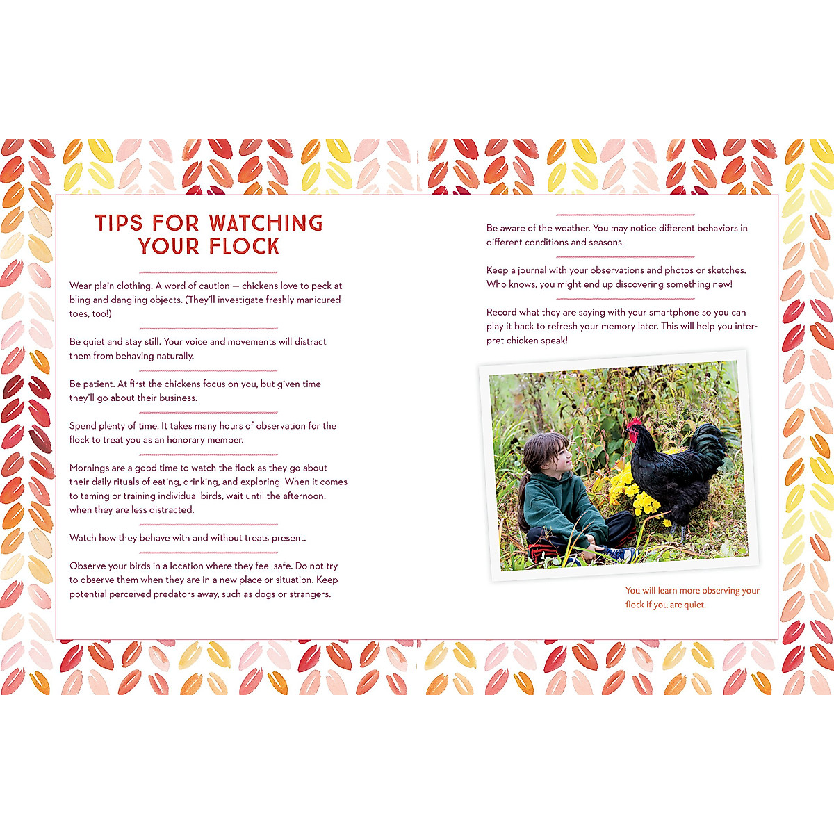 How to Speak Chicken: Why Your Chickens Do What They Do & Say What They Say