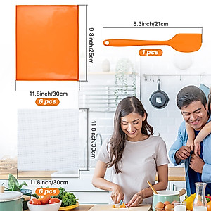 Aemygo 6 Pcs Silicone Dehydrator Sheets with Edge, Reusable Mesh Dehydrator Mats with Scraper, Non-Stick Fruit Leather Trays, Square Food Dryer Mat Dehydrator Sheets For Liquid Meat Vegetables Herbs