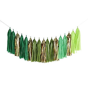 Fonder Mols Tassel Garland Tissue Paper Tassel Banner DIY Kit for Lulu Tropical Summer Party Decoration, Aloha Bridal Shower, Forest Hills Jungle Themed Party & Events Decor A14