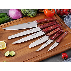 Chef Knives Set, 6-Piece Kitchen Knife Set, Sharp Professional Cooking Knives with High-Carbon-Stainless-Steel Blades