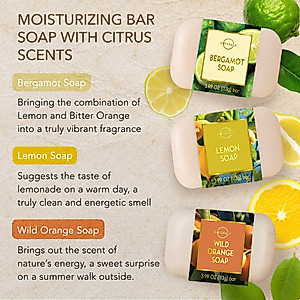 O NATURALS 100% Natural Bar Soap - Assorted 6 PCS Soap Gift Set - Organic Ingredients & Essential Oils - Spa Gifts for Women & Men, Body Wash Soap Bar & Face Soap - Moisturizing Organic Citrus Soap