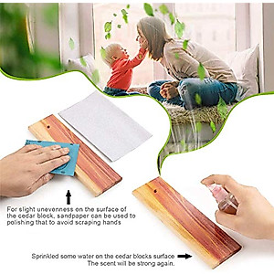 FunSpt 36 Pcs Cedar Blocks Cube with Fragrance Odor 100% Nature Aromatic Red Ceder Planks for Hanger Wardrobes Closets Drawers Freshener Clothes,005