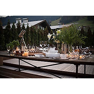 Riedel VINUM Port Glasses, Set of 2