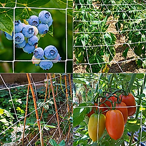 YXNBIIN Heavy Duty Trellis Netting Bulk Roll - 5ft × 350ft Soft Mesh Support Garden Netting for Climbing Plants, Grape Racks, Cucumbers, Melons, Vine Vegetables, Fruits, and Flowers