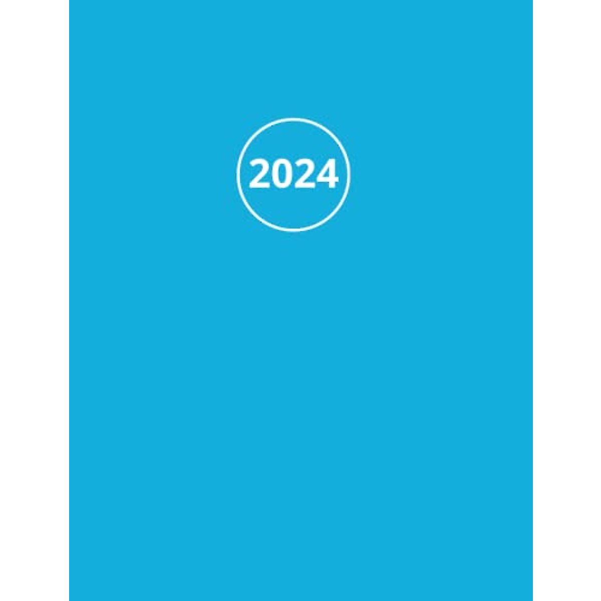 daily diary 2024: 2023 Diary with the Large Daily Planner Pages from January 2024 - December 2024 (with gray cover)