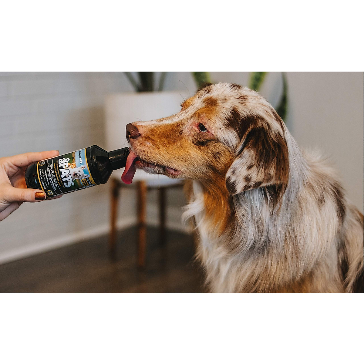 BiologicVET - BioFATS Omega 3-6-9 Fatty Acid with EPA & DHA, Supports Healthy Skin, Coat and General Wellness, 94-Day Supply for 30-lb. Animal, 12-fl. oz. Bottle