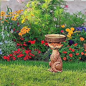 Outdoor Bird Bath Feeder Standing, Resin Bird Bath Bowl Tray for Inside, Animal Hummingbird Feeders Statue Decor for Garden Lawn Patio Yard Bird Lovers Gifts