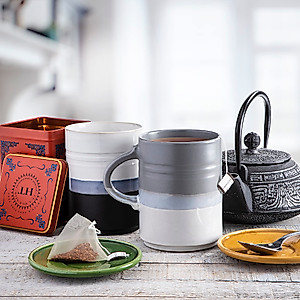 Dwell Studio Set of 2 Stoneware Coffee Mugs- Ombre Printed Coffee Cups, Mugs for Tea, Latte, and Hot Chocolate, 18 oz, Microwave and Dishwasher Safe (Black and Grey)