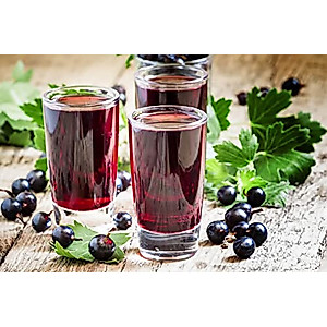 30 Black Currant Seeds, Gooseberry Berry Seeds Edible Fruit for Planting Ornaments Perennial Garden Simple to Grow Pots