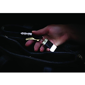 Xodus Innovations BL300 Easy to Find Always Glowing LED Key Chain Purse Light with Flashlight
