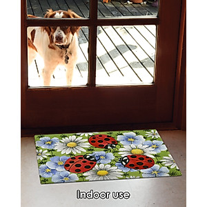 Toland Home Garden 800209 Flowers and Ladybugs Spring Door Mat 18x30 Inch Summer Outdoor Doormat for Entryway Indoor Entrance