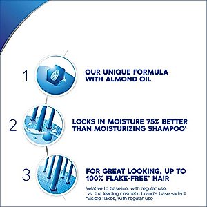 Head and Shoulders Shampoo Dry Scalp 2-In-1 13.5 Ounce (400ml) (Pack of 1)