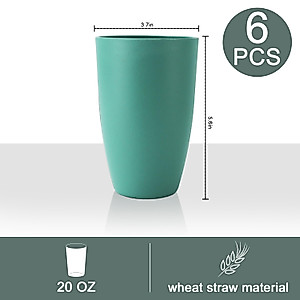 PYRMONT Plastic Cups 6 Pack Wheat Straw Cups 20oz Unbreakable Kid Cups Tumbler Cups for Kitchen Durable Drinking Cups Reusable Small Water Cups Dishwasher & Microwave Safe, BPA Free, PT01