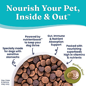 Solid Gold Dry Dog Food for Adult & Senior Dogs - Made w/Real Venison, Potato, & Pumpkin - Nutrientboost Buck Wild Sensitive Stomach Dog Food for Protein Sensitivities & Gut Health - 22 LB