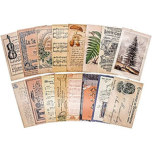 Knaid Vintage Style Postcard Set, Pack of 30 Botanical Plants Butterfly Mushroom Leaves Fruits Retro Postcards