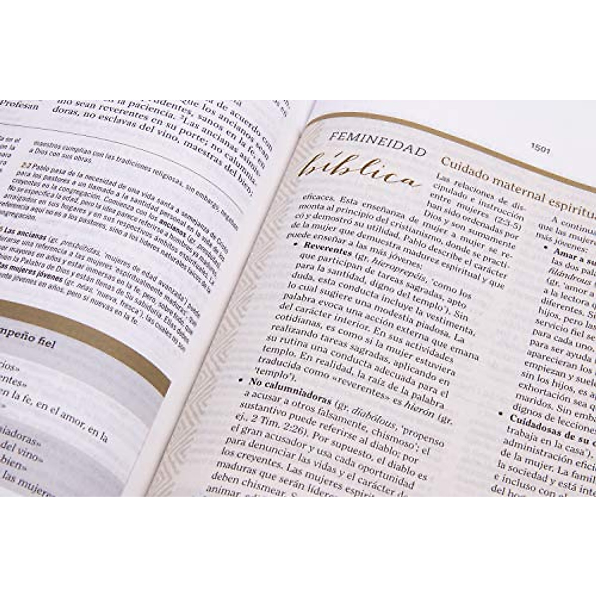 Biblia Reina Valera 1960 de Estudio para Mujeres, Tapa dura | RVR 1960 Women Study Bibl, Hardcover (Spanish Edition)