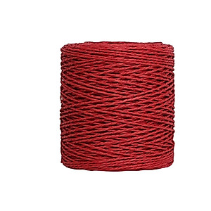 100g/ball Raffia Yarn Kintting Paper Straw Yarn for Crocheting Hat Fancy Yarn Flower Packing Summer Fashion Handmade Material (Color : Tgreen)