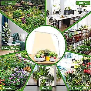 Grow Light for Indoor Plants, SUWITU 6000k Full Spectrum Plant Light, Clip-on Led Grow Lights, Plant Grow Light for Succulents Small Plants, Auto On/Off Timing, 1 Head 3 Lighting Modes & 10 Dimming