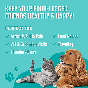 Nature's Synergy Hemp Oil for Dogs, Cats & Pets, Omega 3 6 9 Fatty Acids for Hip and Joint Support, Skin and Coat Health, Calming Dog Supplement to Support Stress from Travel, Separation, 1 Oz Bottle