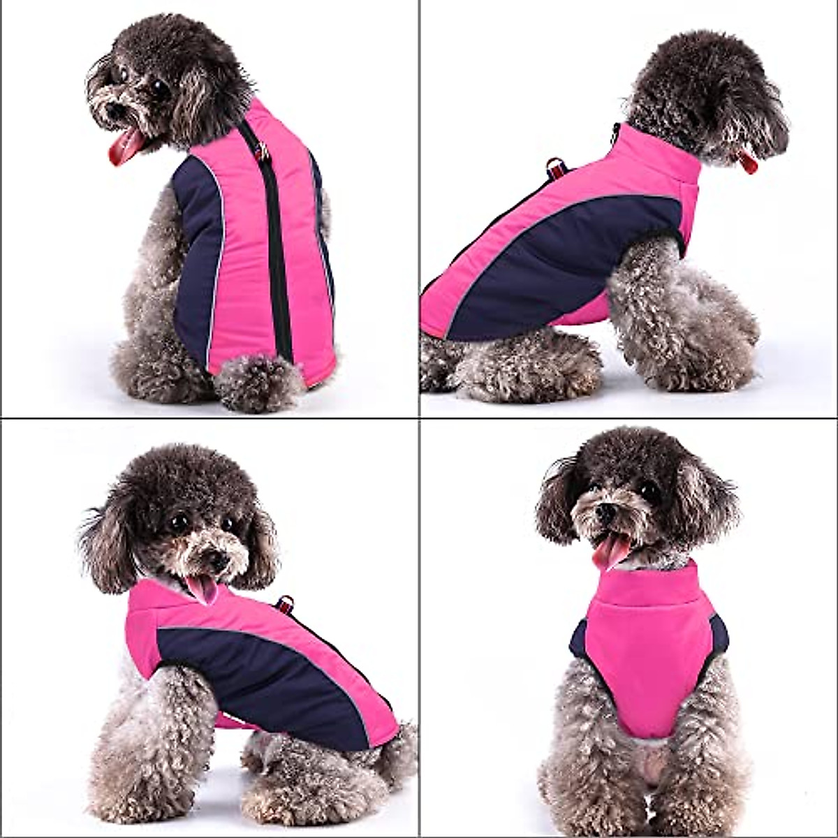 Didog Fleece Lined Warm Dog Winter Coat for Small Dogs & Cats,Reflective Cold Weather Dog Jacket Sport Vest with Zipper Closure and Leash Ring for Walking Hiking(Chest: 14" Back Length: 12", Hot Pink)