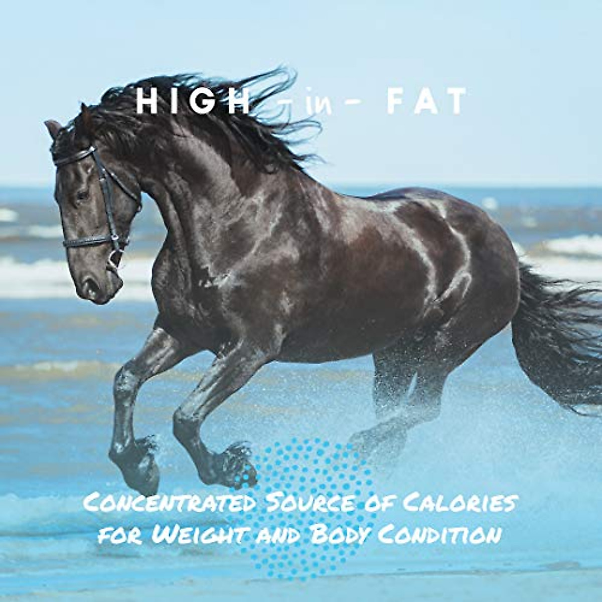 Manna Pro Cool Calories 100 | Equine Dry Fat Supplement for Healthy Weight Gain | 8 Pounds