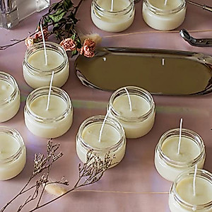 EricX Light Candle Making Kit, 60pcs Candle Wicks, 60pcs Candle Wicks Sticker, 16oz Soy Wax, 1pc Candle Wax Pouring Pot, 2pcs 3-Hole Wicks Centering Devices, 1pc Mixing Spoon, DIY Candles Craft Tools