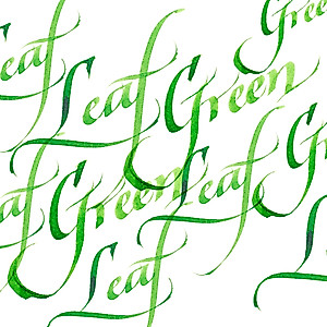 Winsor & Newton Calligraphy Ink, 30ml (1-oz) Bottle, Leaf Green