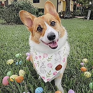 Crowned Beauty Easter Dog Bandanas Large 2 Pack, Bunnies Tulips Set, Plaid Adjustable Triangle Holiday Reversible Scarves for Medium Large Extra Large Dogs Pets