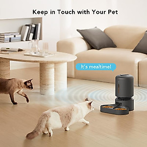 PETLIBRO Automatic Cat Feeder, WiFi Connected, Adjustable Meal Splitter, Fresh Food Storage, Multiple Pet Use, Stainless Steel