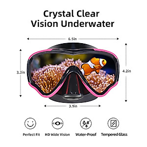EverSport Swim Goggles Adult with Nose Cover for Women Men No Leak, Clear Wide View Diving Scuba Mask Open Water Pool Swimming Goggles Silicone Shower Goggles Youth Snorkel Junior Nose Goggles