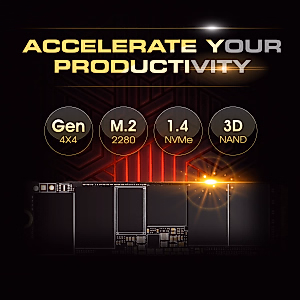 Silicon Power 2TB UD90 NVMe 4.0 Gen4 PCIe M.2 SSD R/W up to 5,000/4,800 MB/s (SP02KGBP44UD9005)