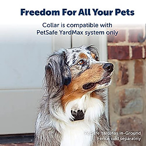 PetSafe YardMax Rechargeable In-Ground Pet Fence for Dogs and Cats – from the Parent Company of INVISIBLE FENCE Brand – Underground Pet Barrier, Multiple Wire Gauge&Indoor or Outdoor Barrier Options
