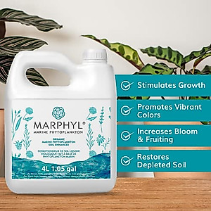 MARPHYL Organic Liquid Fertilizer - Liquid Plant Food - All-Purpose, Nutrient-Rich Lawn Fertilizer & Soil Enhancer for House Plants, Flowers, Vegetables Succulents Bamboo, Hydroponics Plant Fertilizer